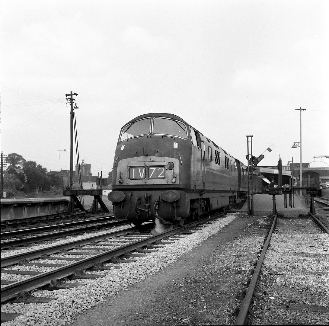 The class 42 'Warship' diesel hydraulics | TrainBoard.com - The ...