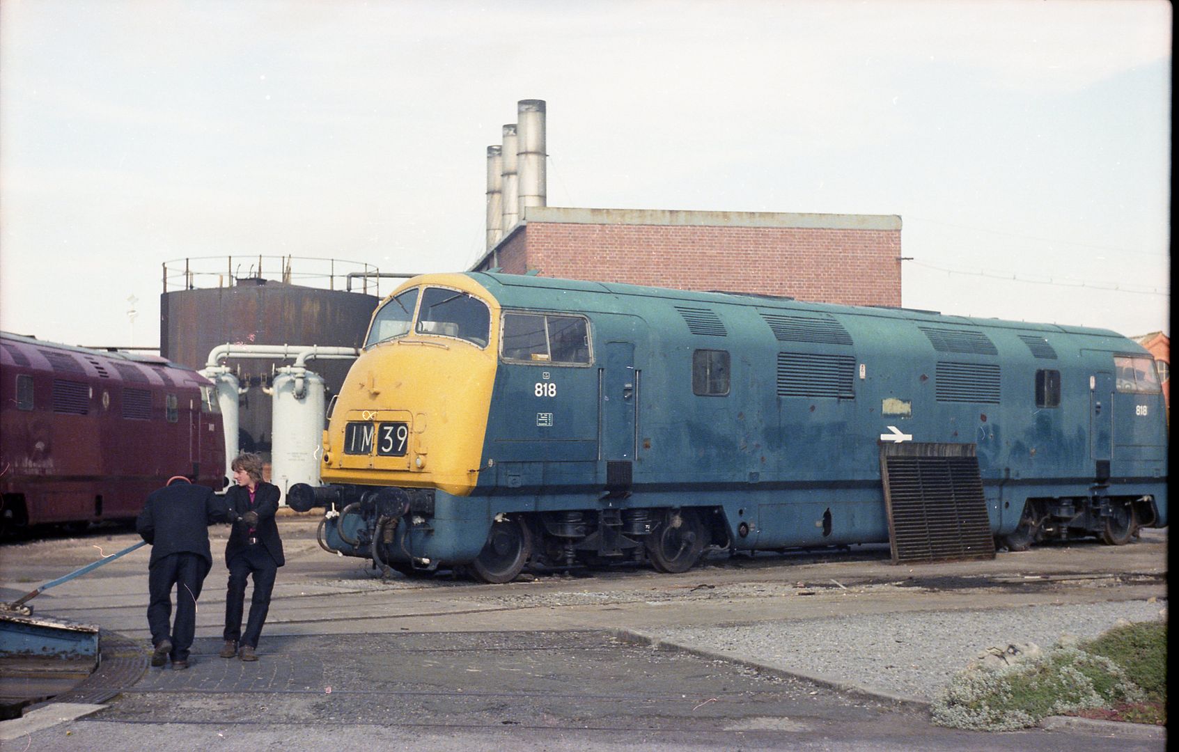 The class 42 'Warship' diesel hydraulics | TrainBoard.com - The ...